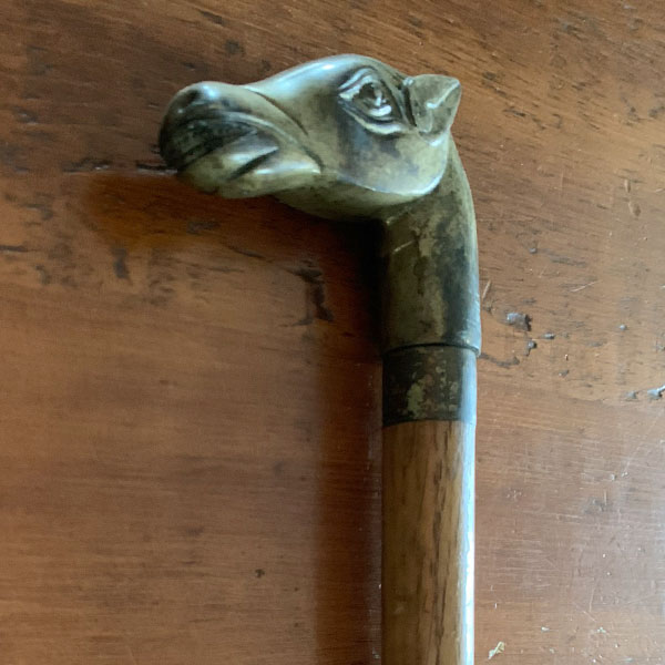 Animal Head Cane – Kovels