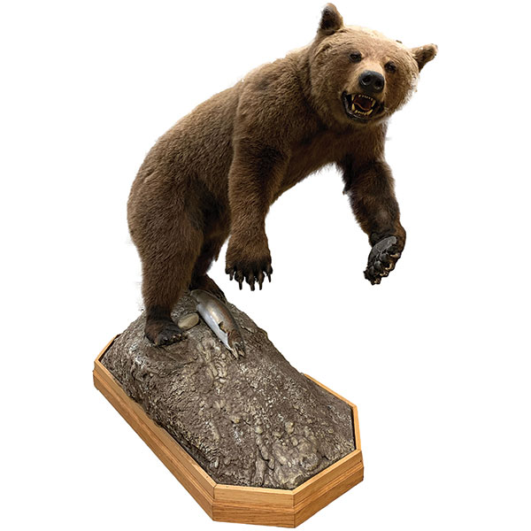 Animal Trophies, Brown Bear, Full Body Mount, Standing, Stone ...